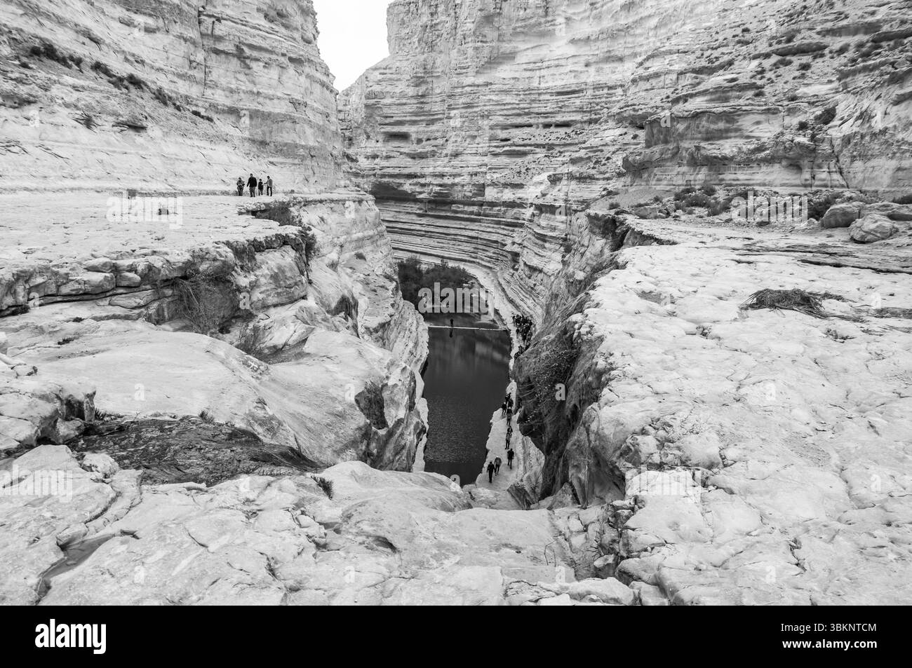 A group of people are walking through a canyon with a river running ...