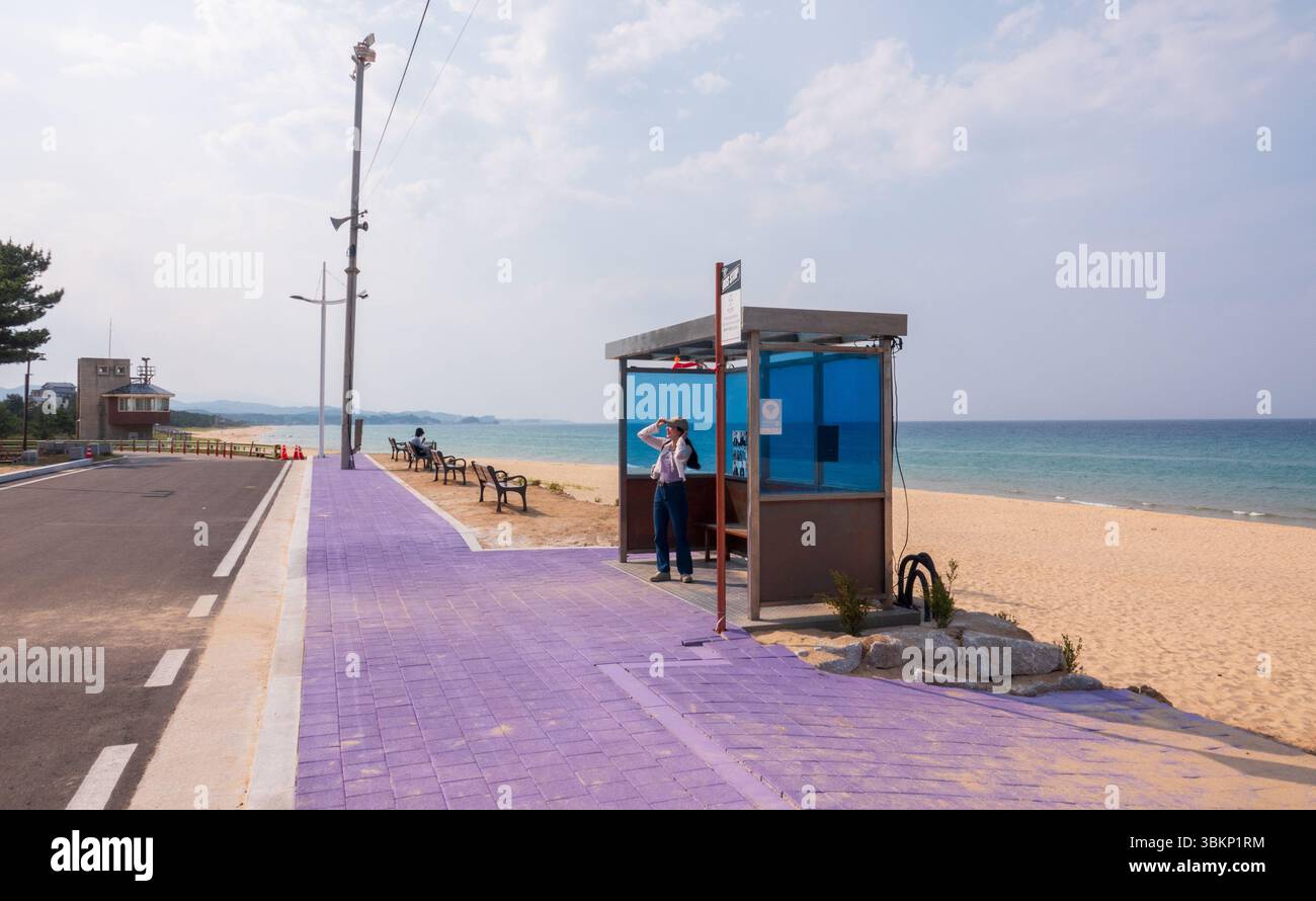 BTS Bus Stop, June 19, 2025 : 'BTS Bus Stop' is seen on Hyangho beach ...