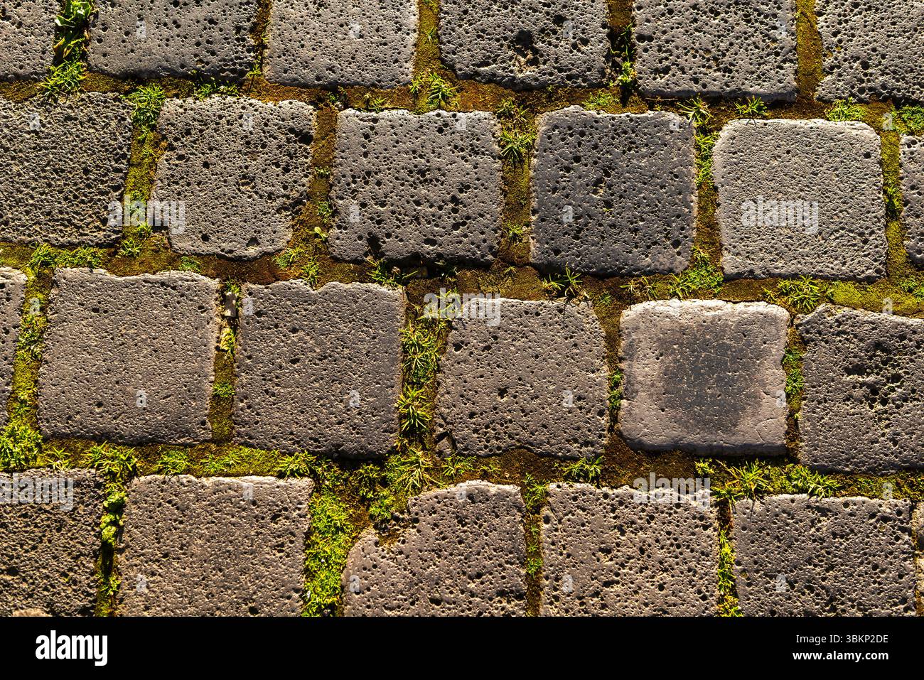Square basalt paving stones with grass in between, historic city of ...