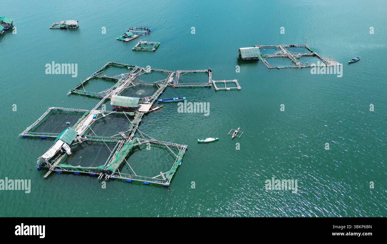 Fish farm with cages for fish and shrimp Stock Photo - Alamy