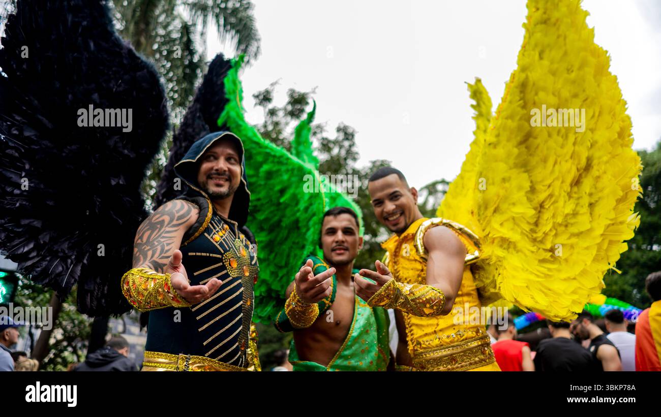 Revelers pose for a picture during the 29th LGBT Pride Parade in Sao ...