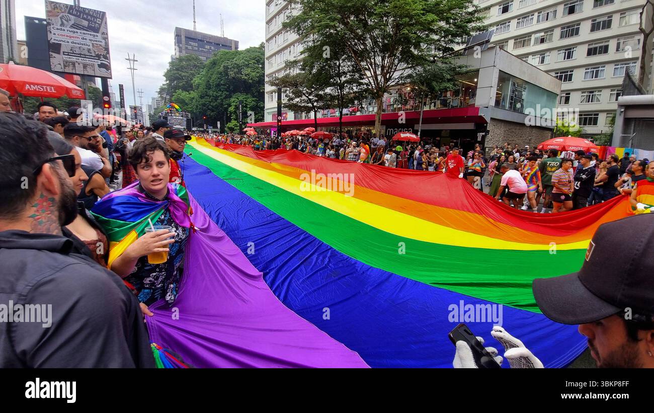 Revelers pose for a picture during the 29th LGBT Pride Parade in Sao ...