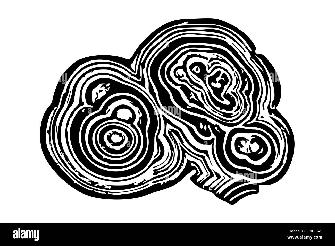 Abstract Black and White Geode Slice Illustration Showing Concentric ...