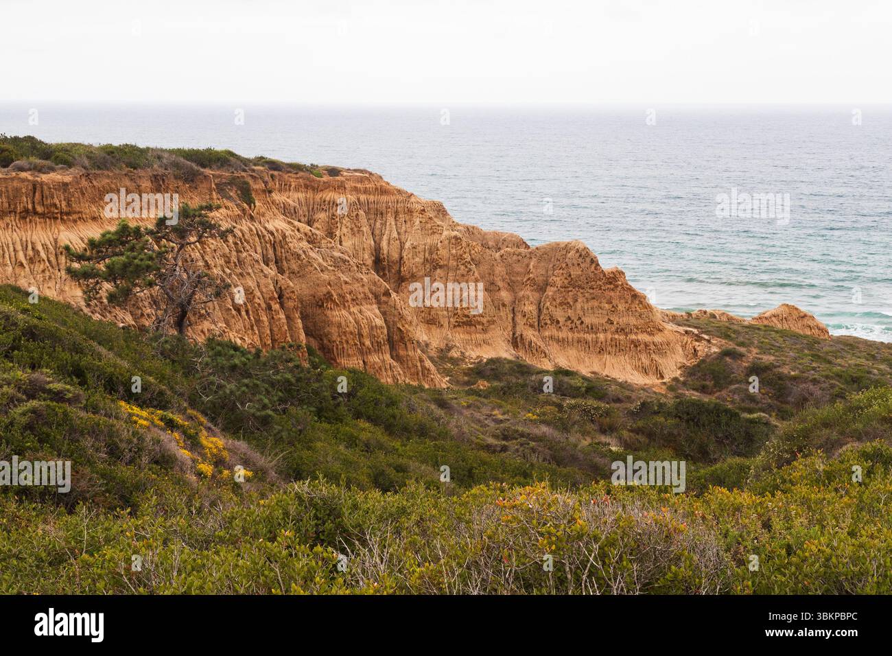 Sandstone cliffs of Torrey Pines and the Pacific Ocean Stock Photo - Alamy