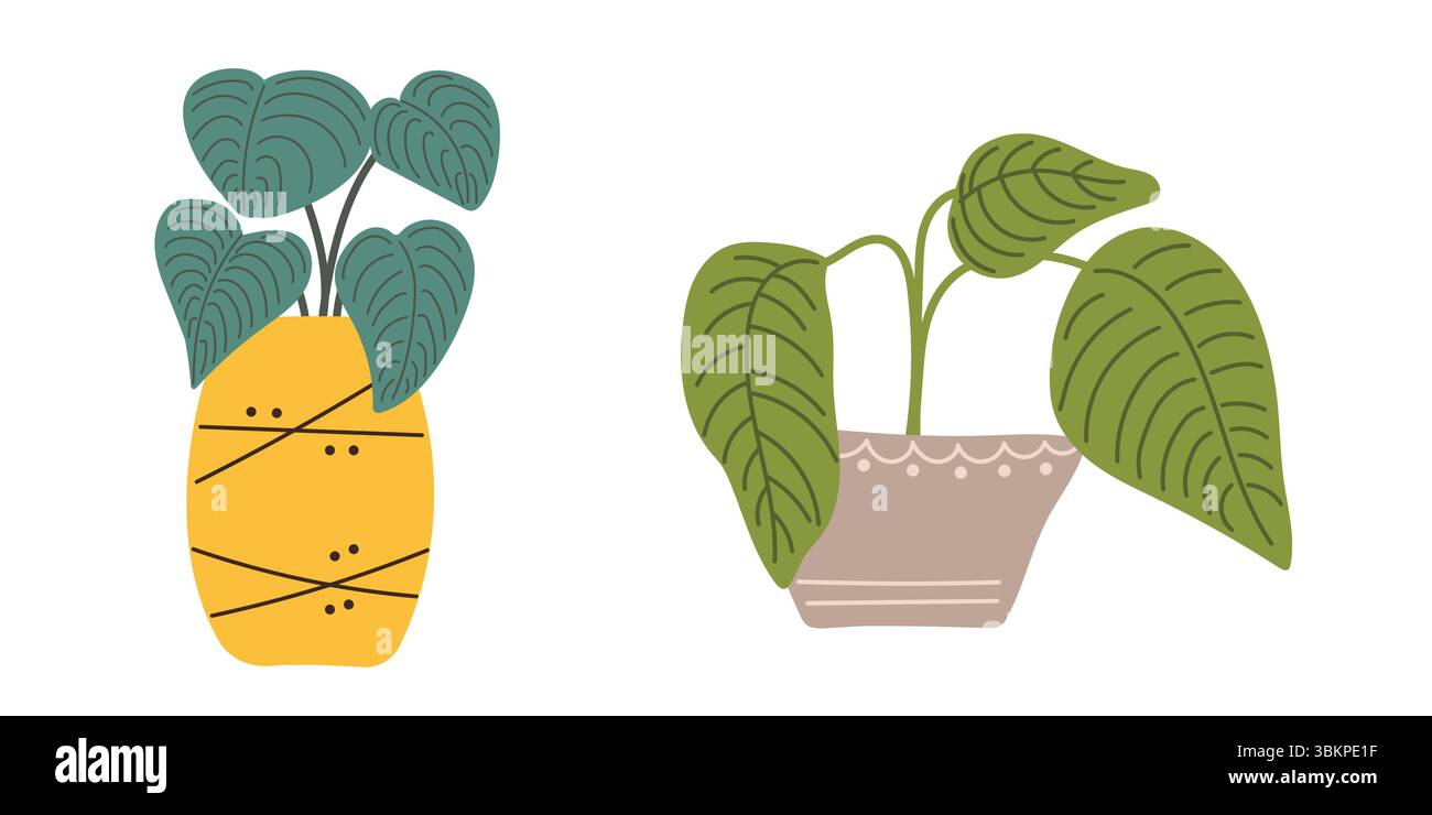 Big green plants in Cut Out Stock Images & Pictures - Alamy