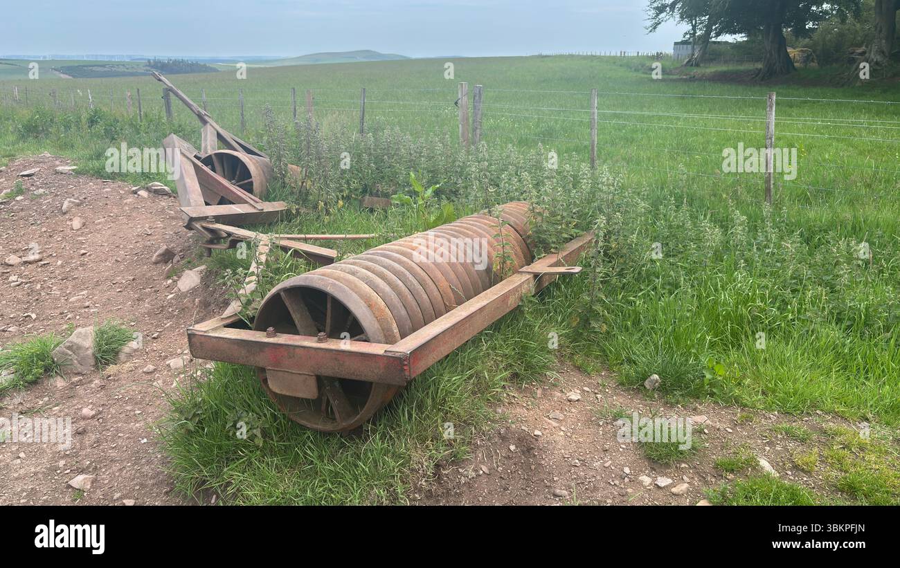 Rusty abandoned farm rollers resting in overgrown grass, showing ...