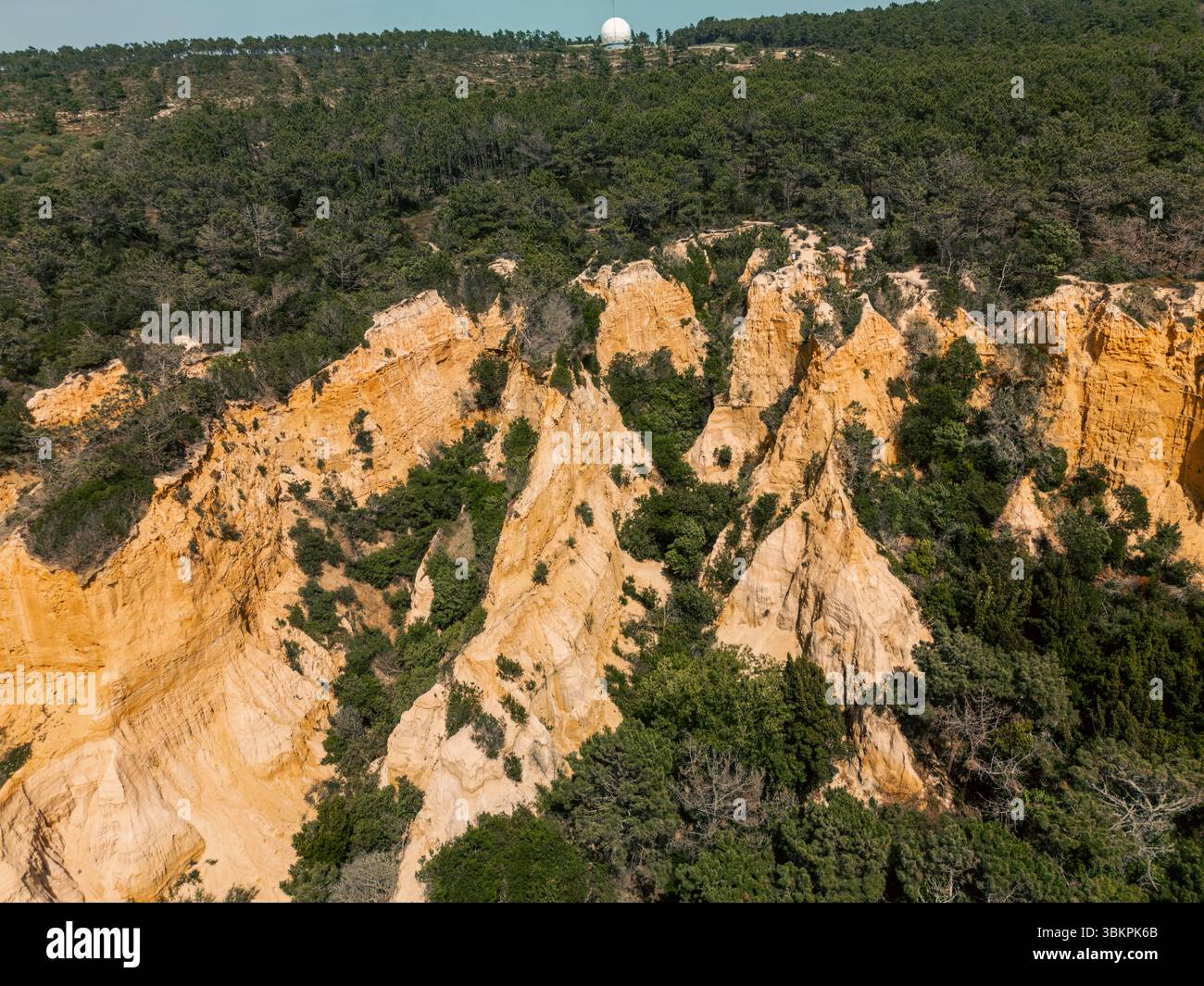 Rugged cliffside pine trees hi-res stock photography and images - Alamy