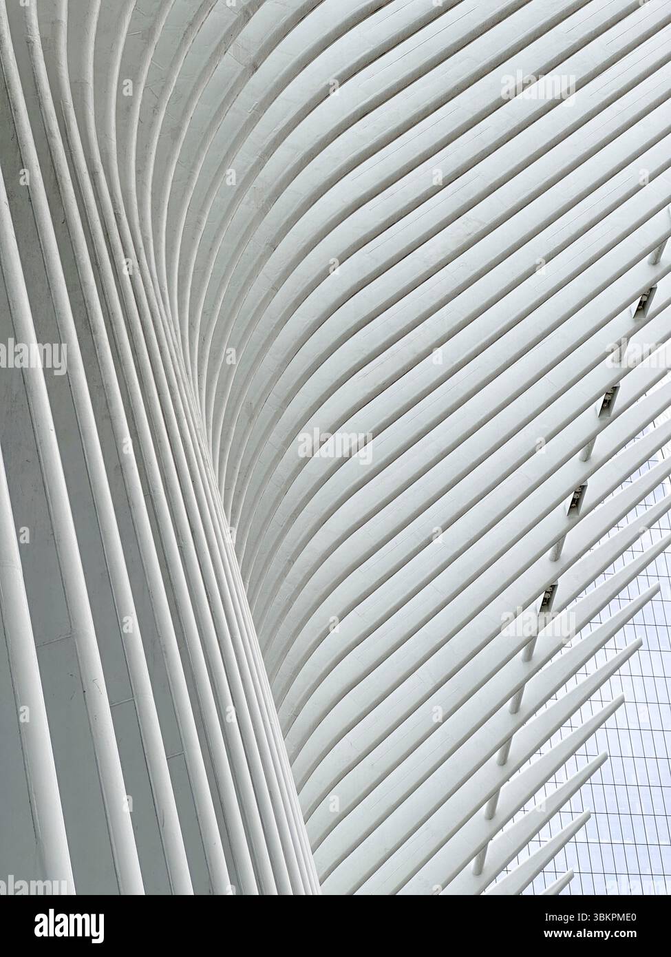 Exterior view and lobby of the Oculus Building and the Freedom Tower in ...