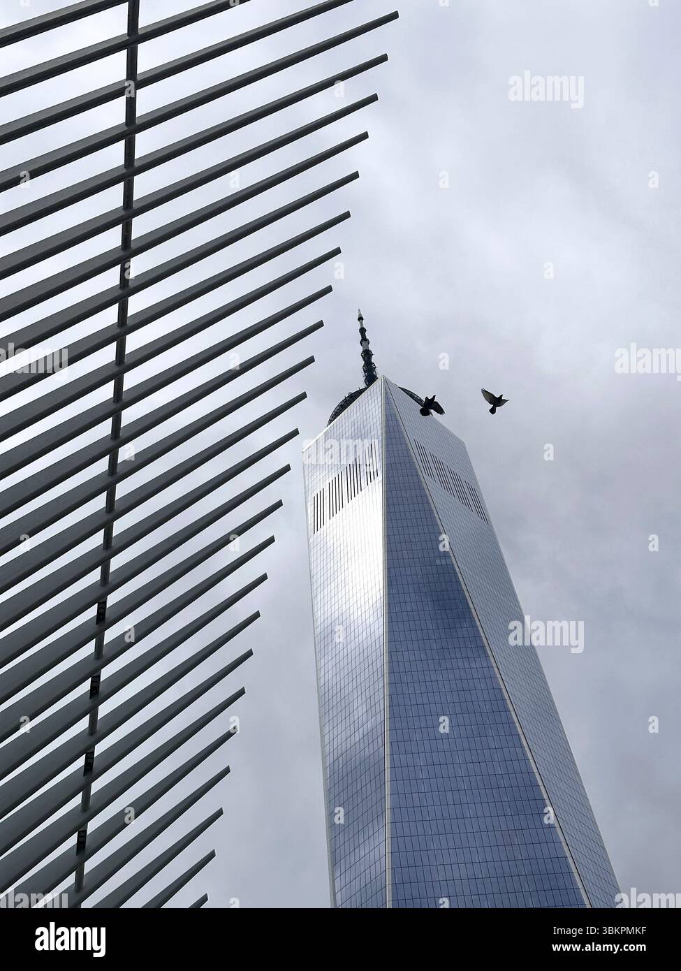 Exterior view and lobby of the Oculus Building and the Freedom Tower in ...
