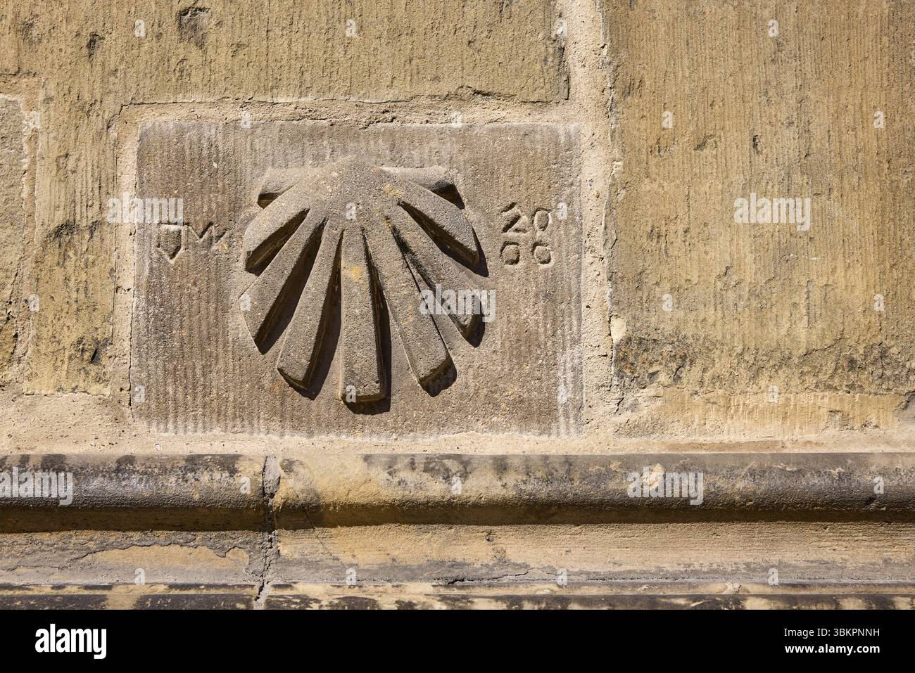Biblical symbol, scallop shell, pilgrim, relief, Lambertikirche, church ...