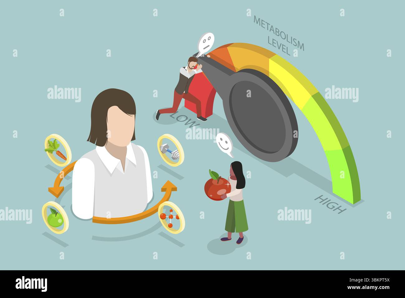 3D Isometric Flat Illustration of Human Organism Metabolism Level, Food ...