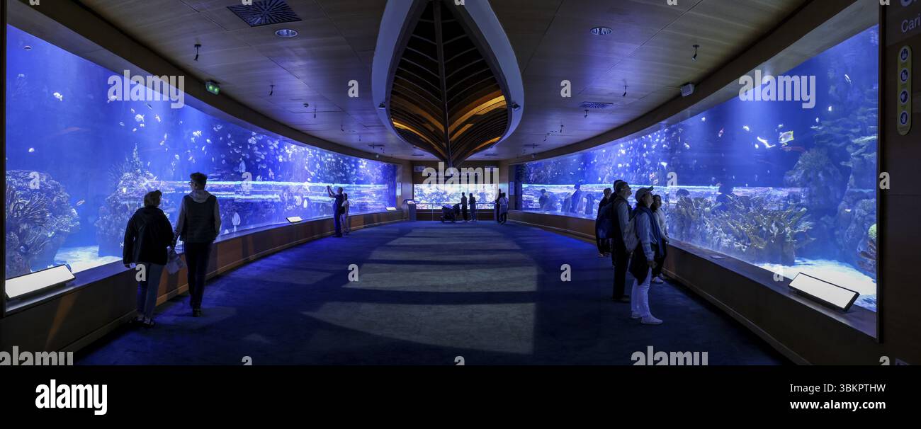 Panoramic photo of Europe's largest aquarium Aquarium L'Oceanografic ...