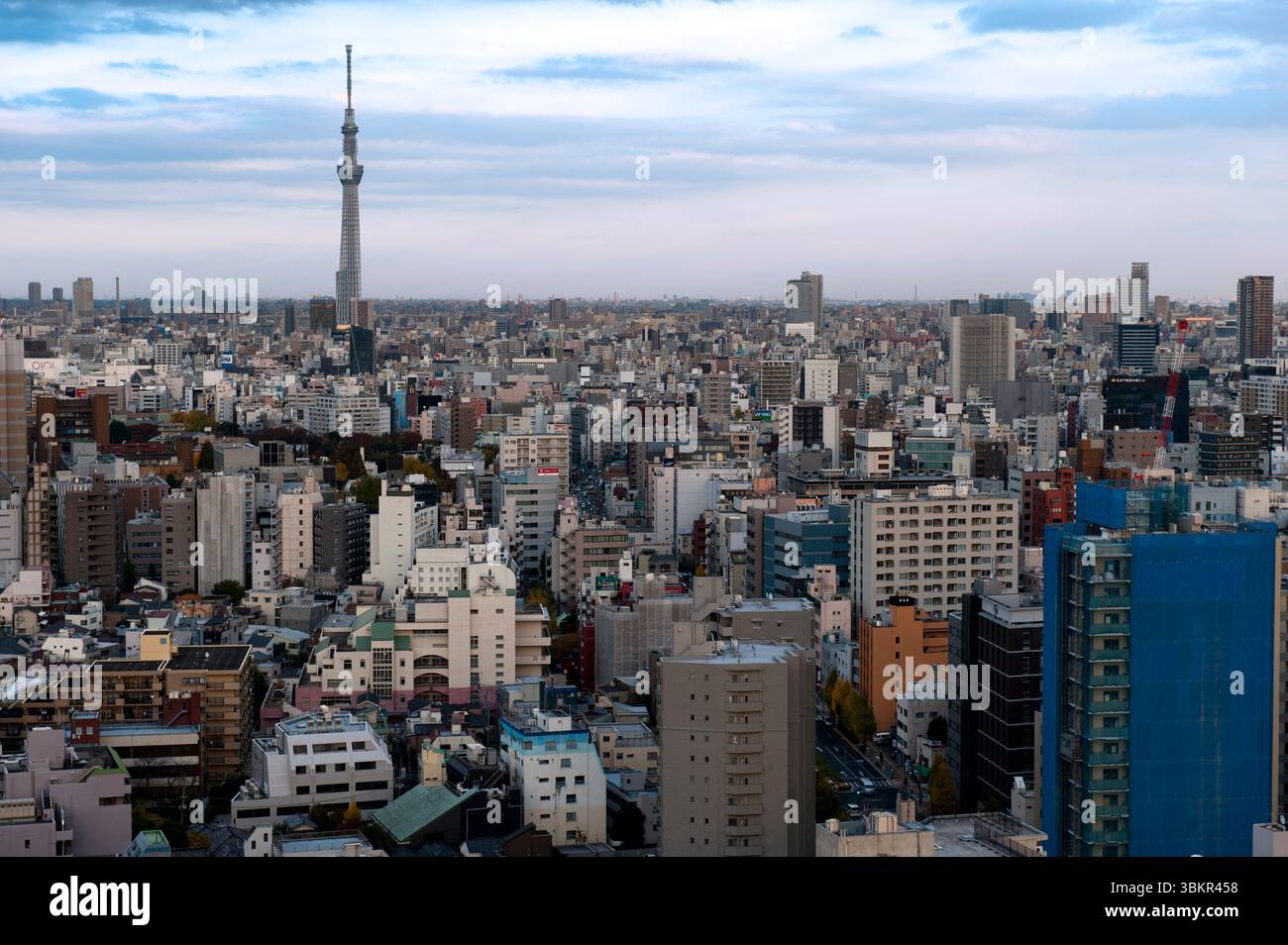 Panoramic view of the Tokyo Skytree with endless urban sprawl of ...