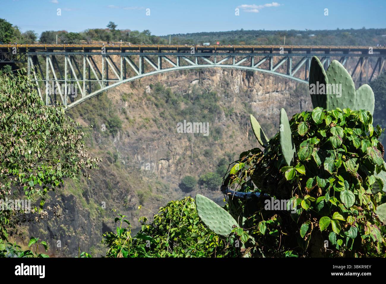 Victoria Falls Bridge links the two countries of Zambia and Zimbabwe in ...
