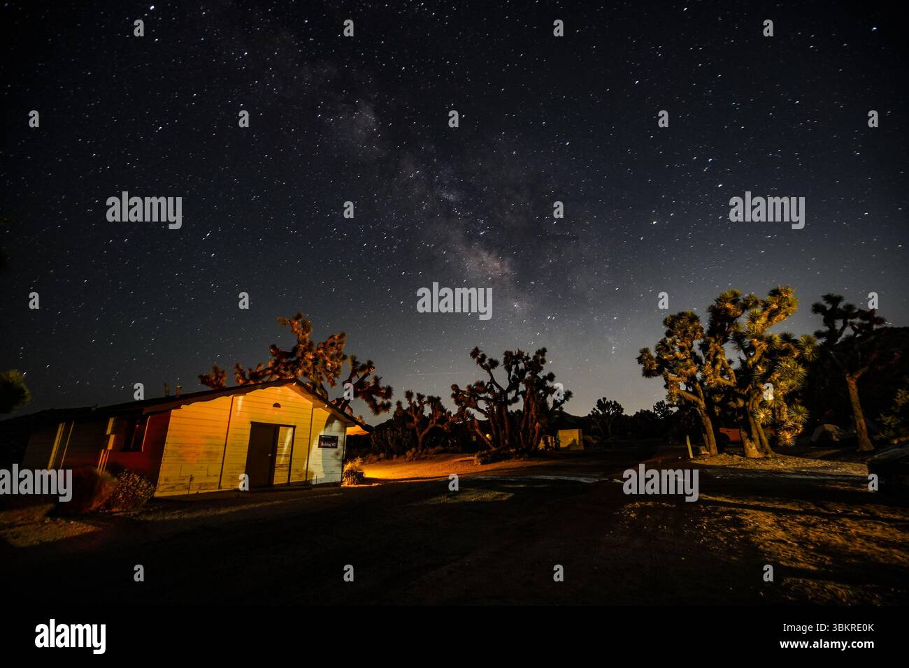 The stars are clearly seen on the skies above the Joshua Tree National ...