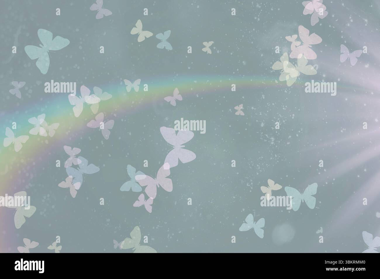 Trendy butterfly hi-res stock photography and images - Alamy