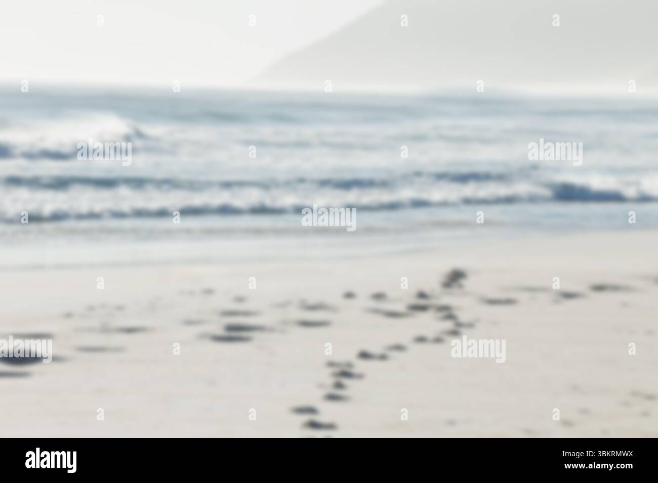 Daytime sky idyllic shore beach hi-res stock photography and images - Alamy