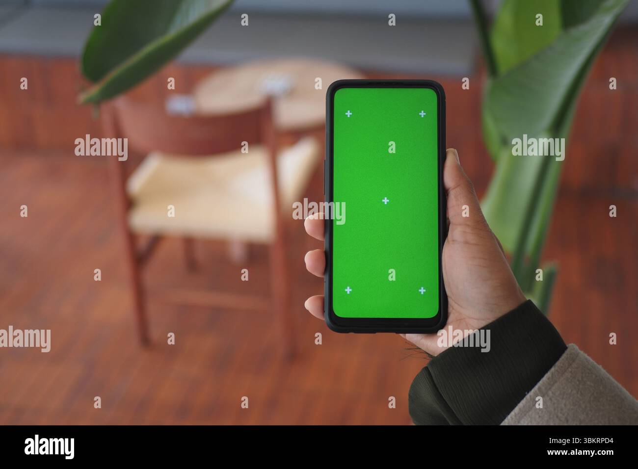 Person displays phone green screen hi-res stock photography and images ...