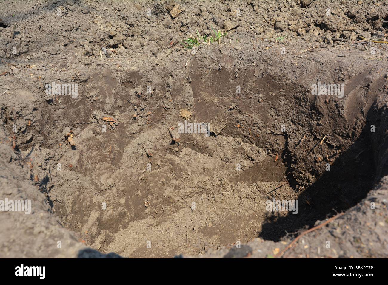 Dig hole in the ground for planting trees Stock Photo - Alamy