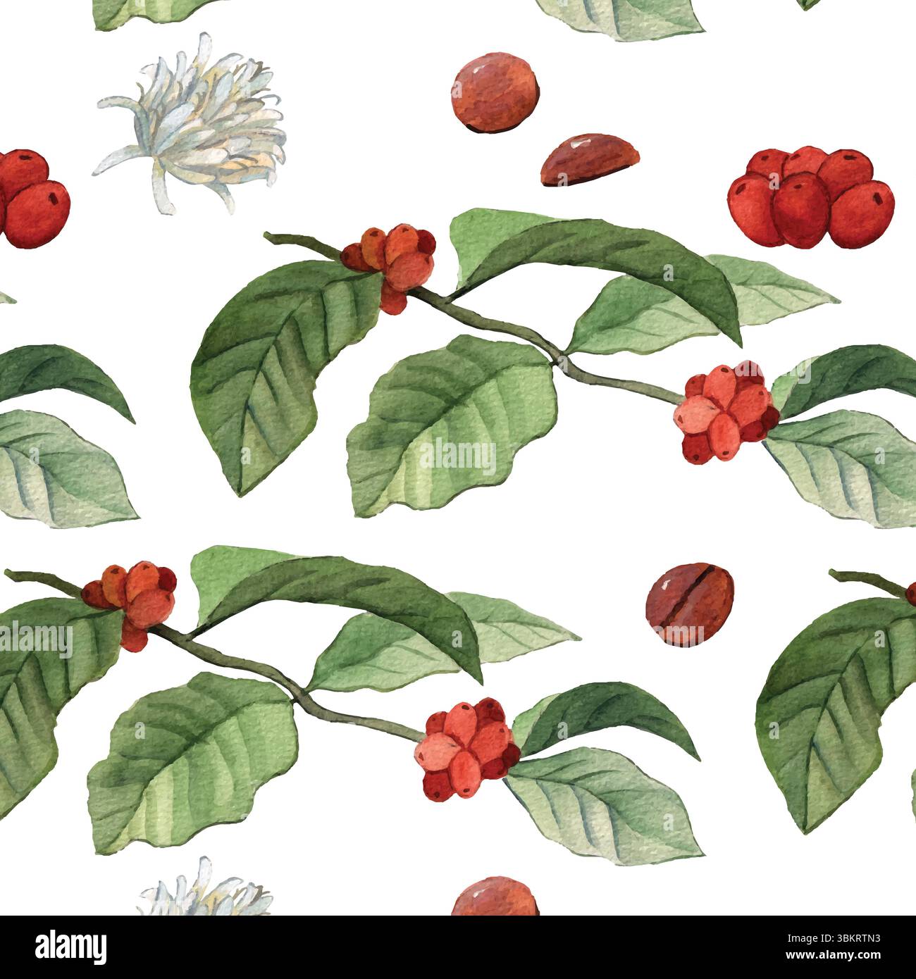 Coffee branch, flower and nuts watercolor pattern. Botanical plants and flowers seamless pattern ...