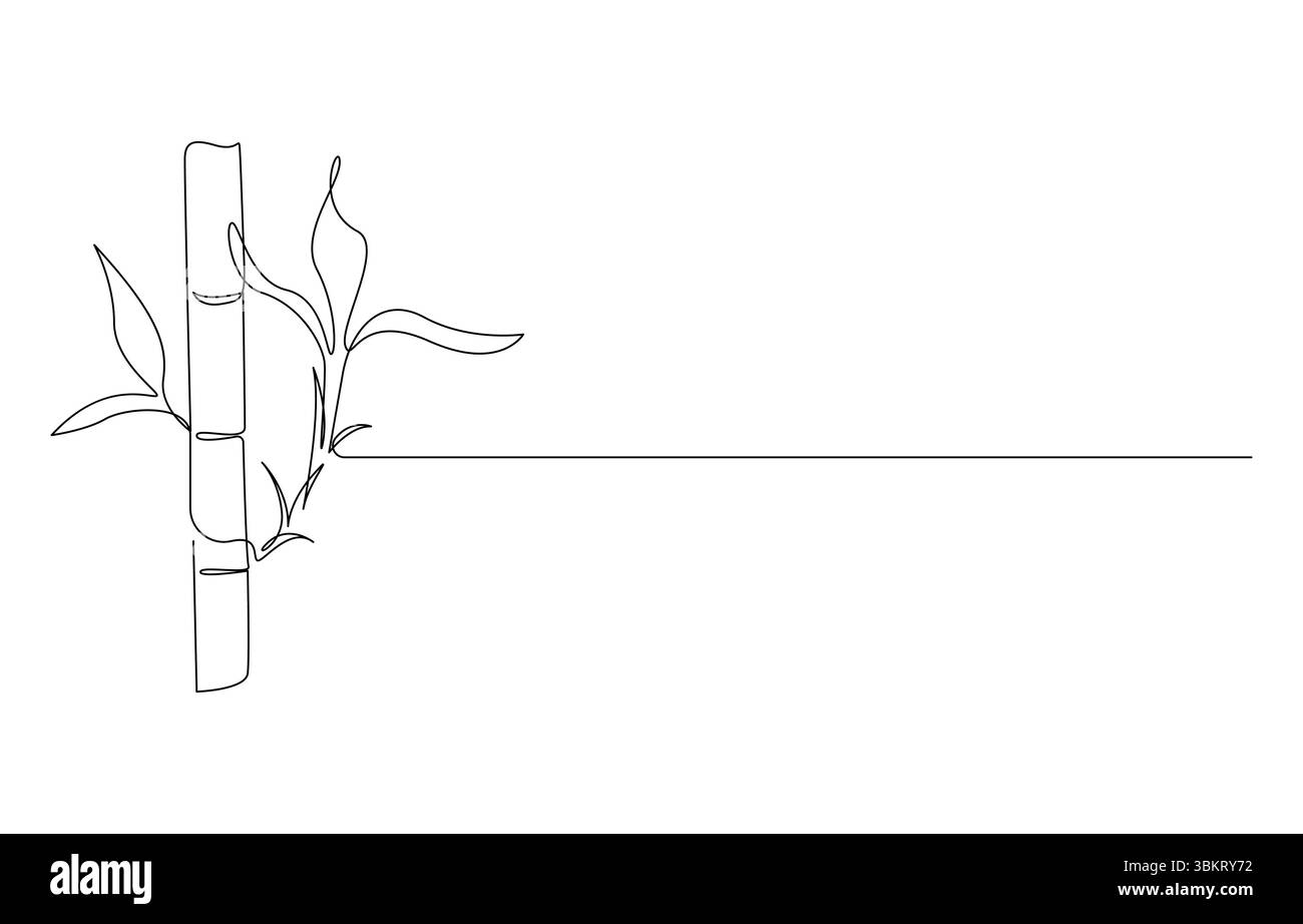 Minimalist Line Drawing of Bamboo Plants, Monoline Bamboo with Leaves ...