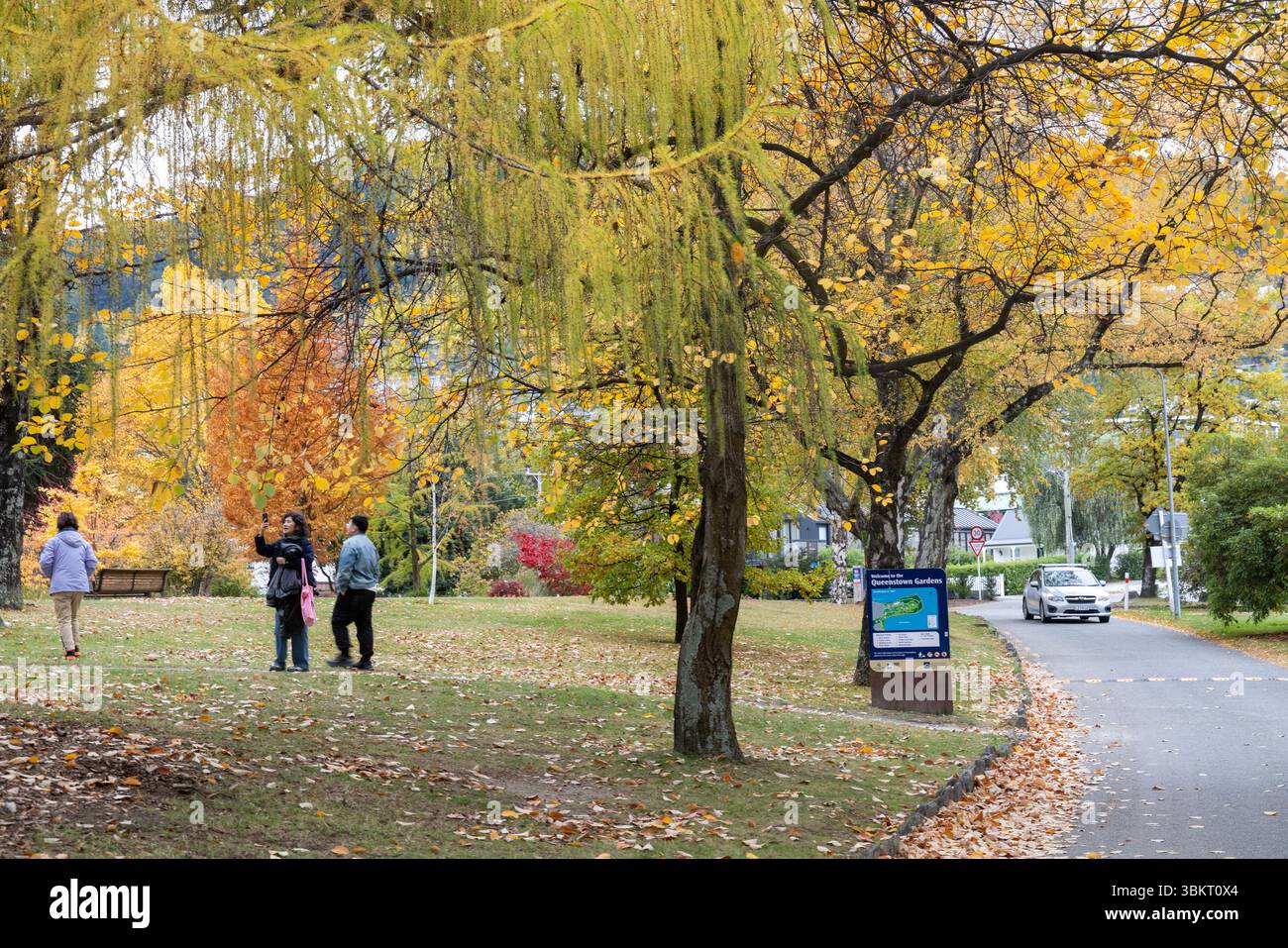 Queenstown botanical gardens with autumn tree colours in the park,Otago ...