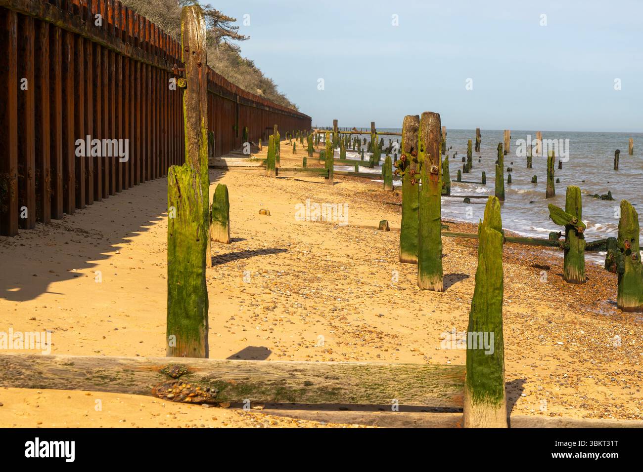 Steel sheet piling sea wall old broken wooden groynes coastal defences ...