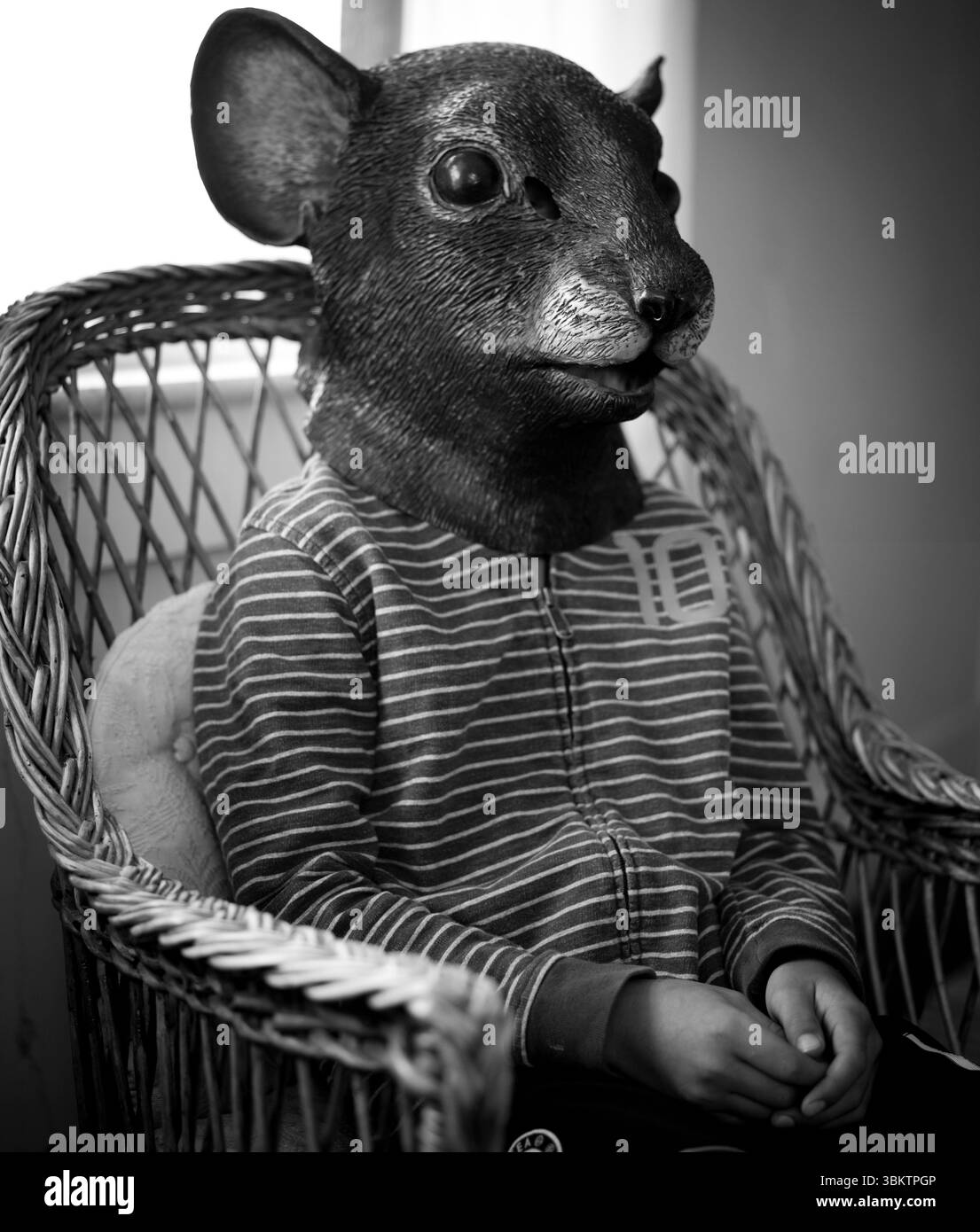 Chair only Black and White Stock Photos & Images - Alamy