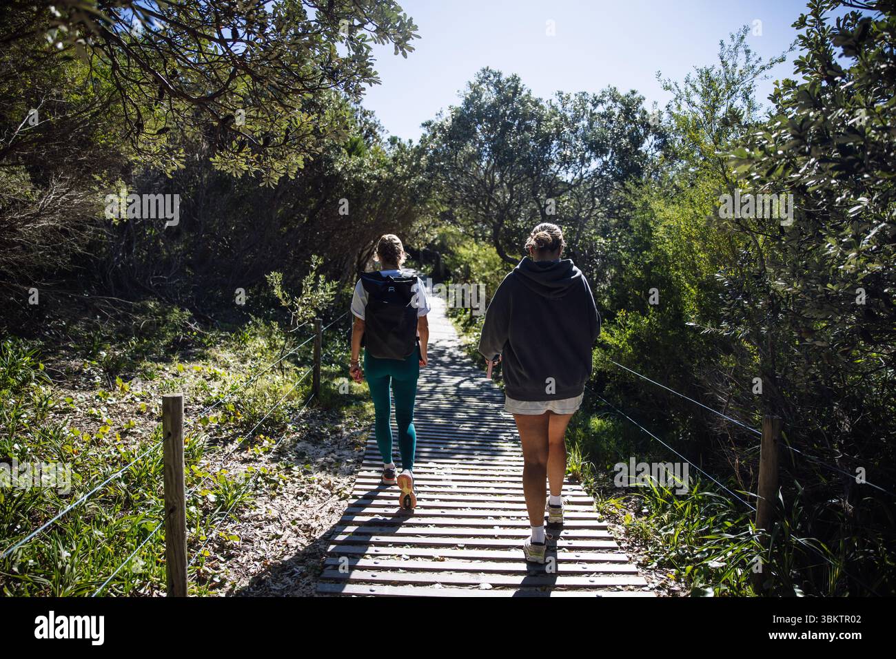 Hikers walking on wooden elevated path in forest preserve Stock Photo ...