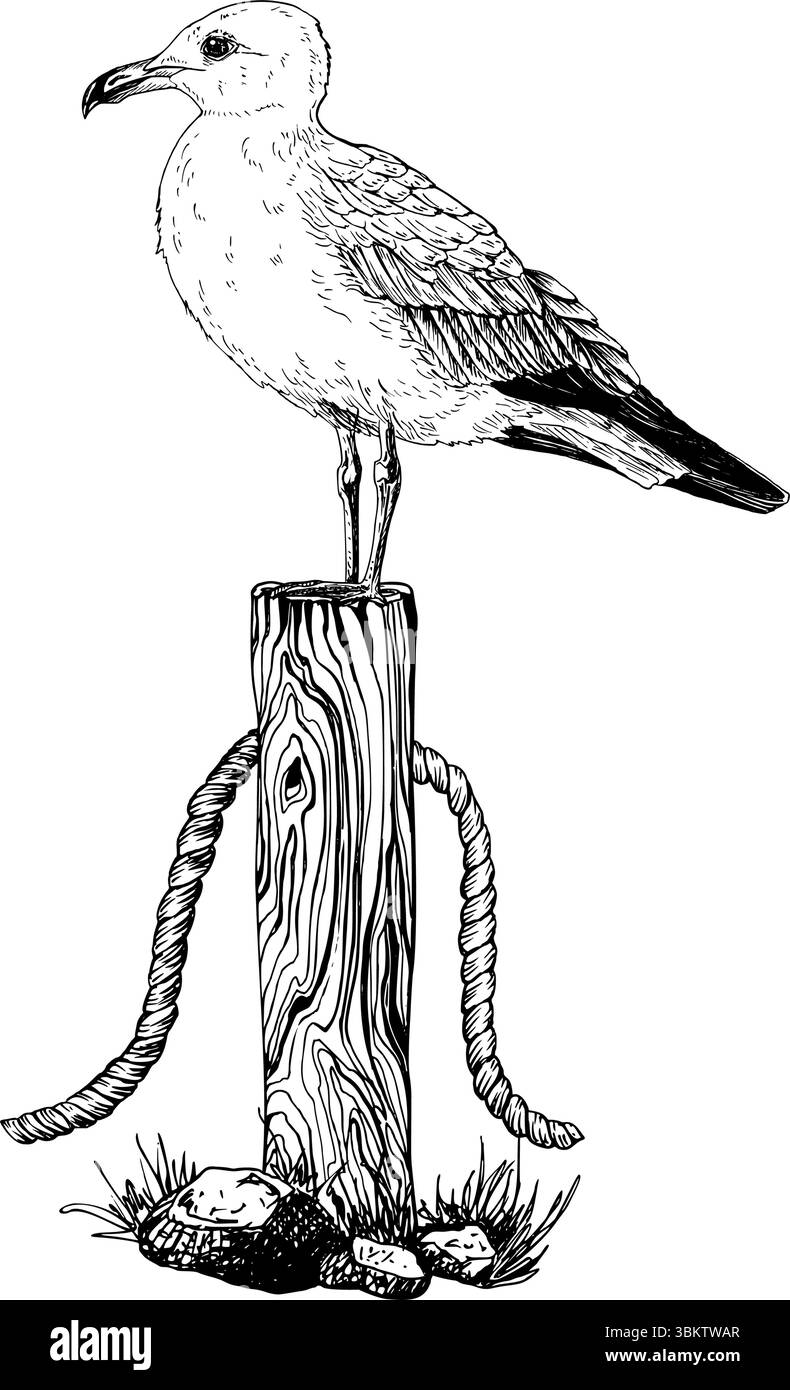 A seagull perched atop a weathered wooden post wrapped with a rope ...