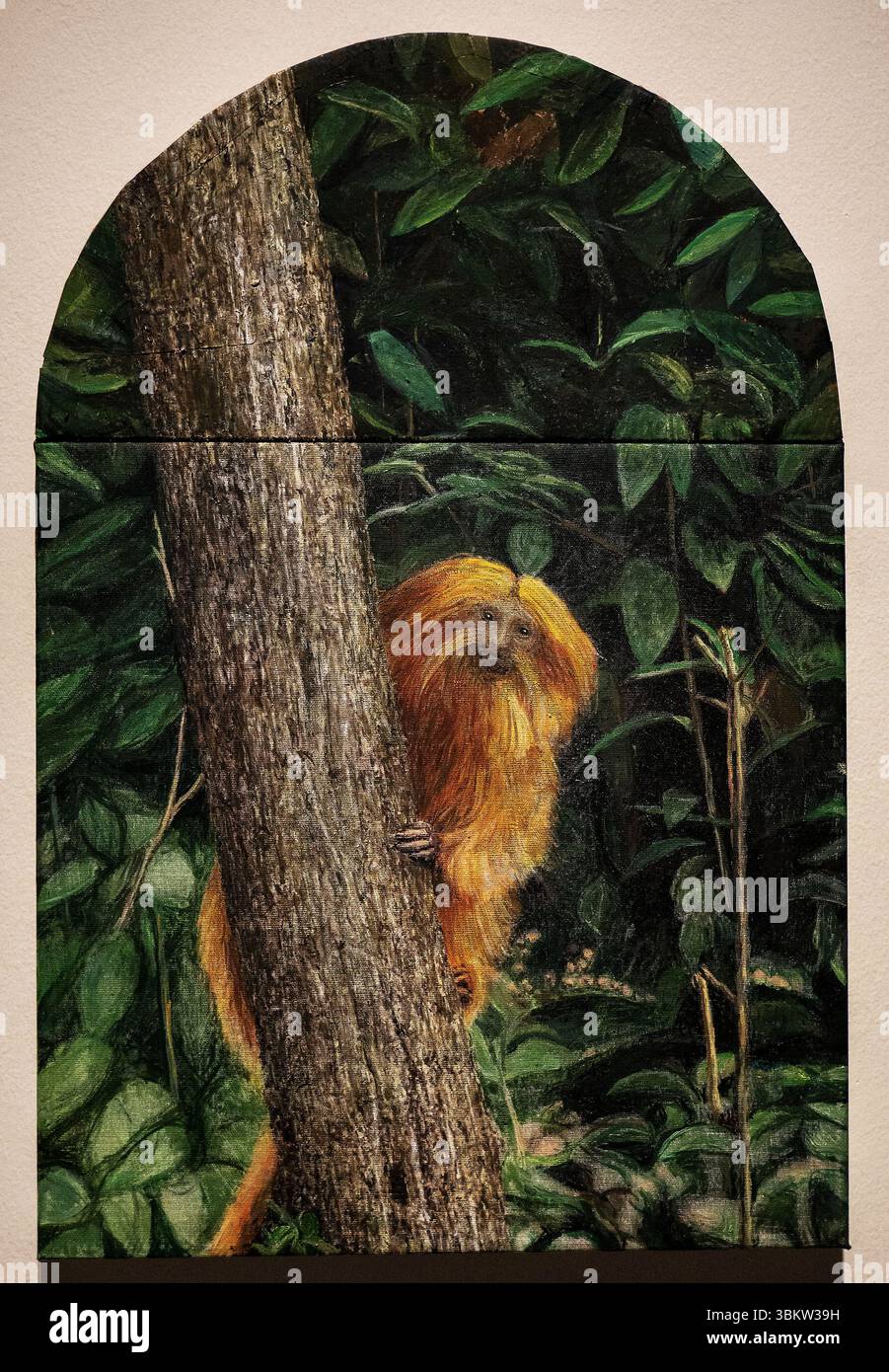 Florence, Haley Mellin-Sismo nature exhibition at the Museo del ...