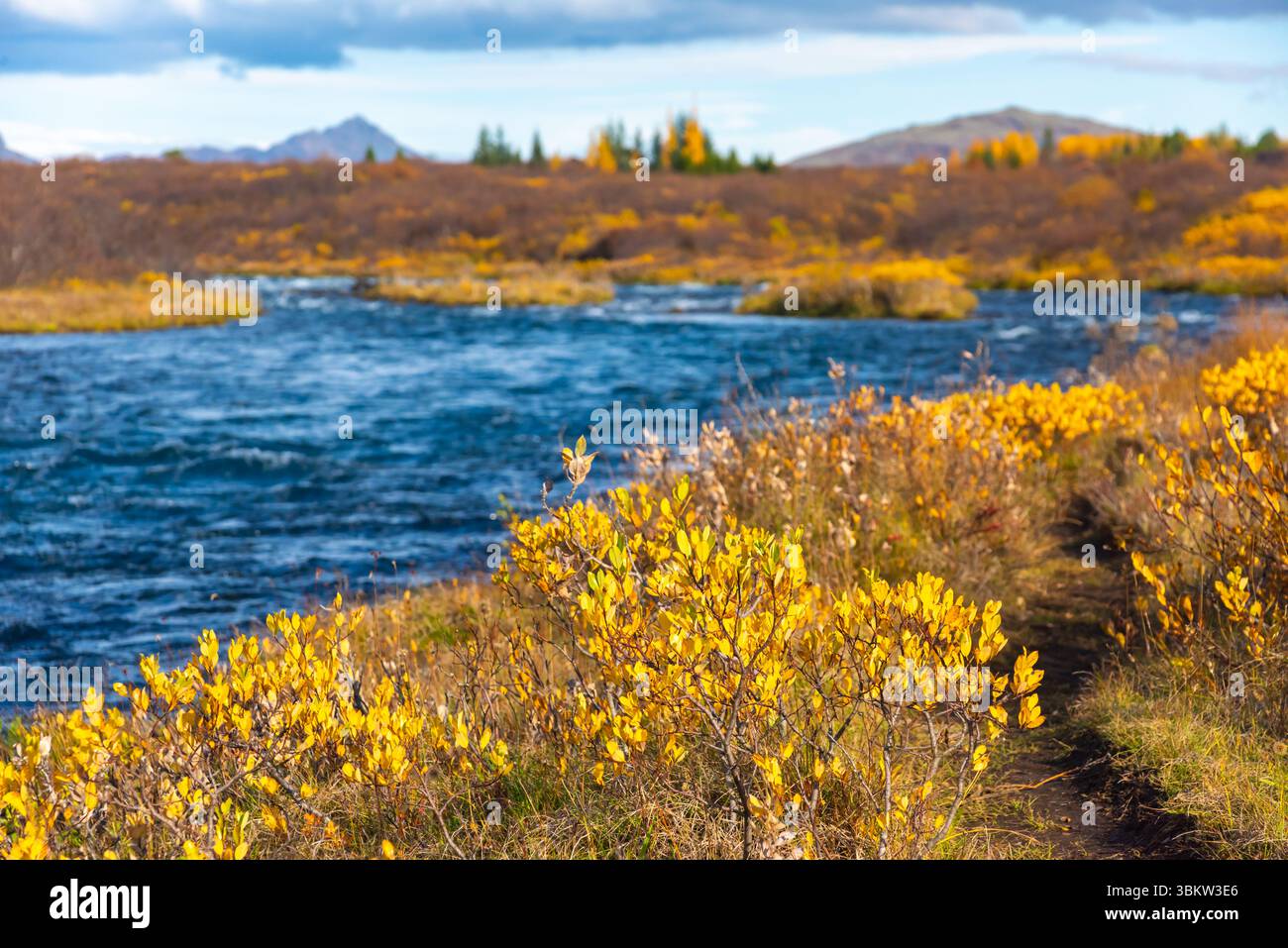 Autumn landscape features a river flowing through a forest filled with ...