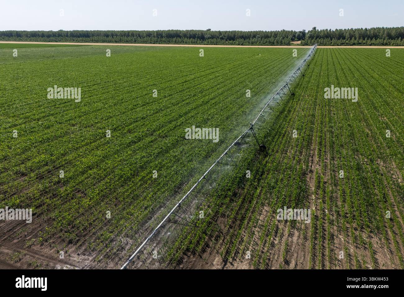 Aerial view of agricultural watering pivot irrigation system on a corn ...