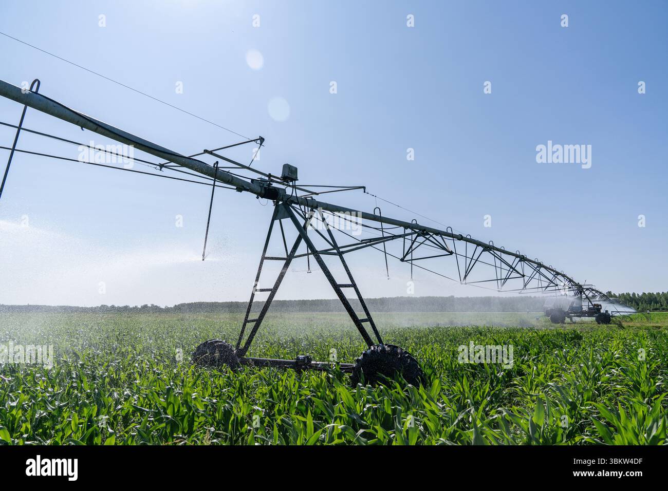 Agricultural pivot irrigation system on a corn field Stock Photo - Alamy