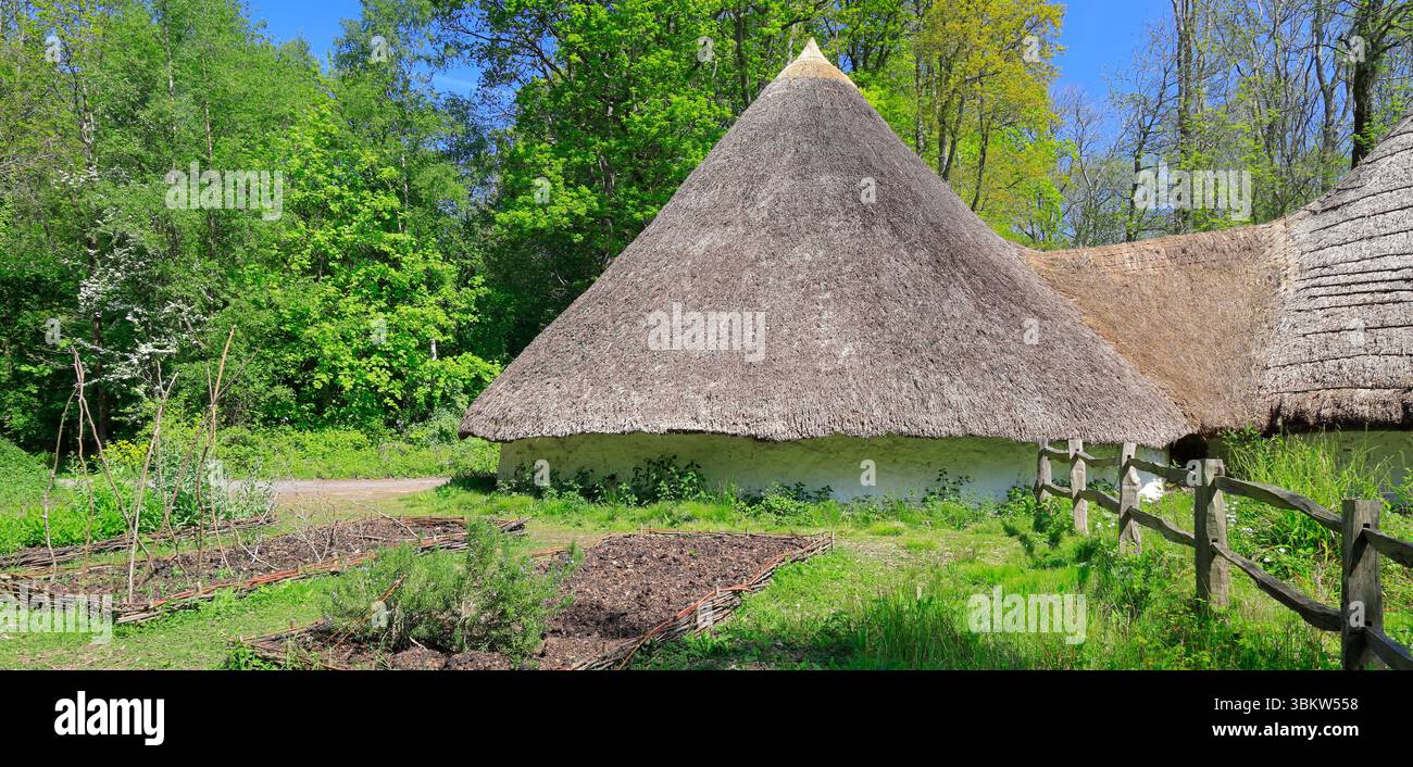 Bryn Eryr iron age Celtic village and roundhouses with garden plots. St ...