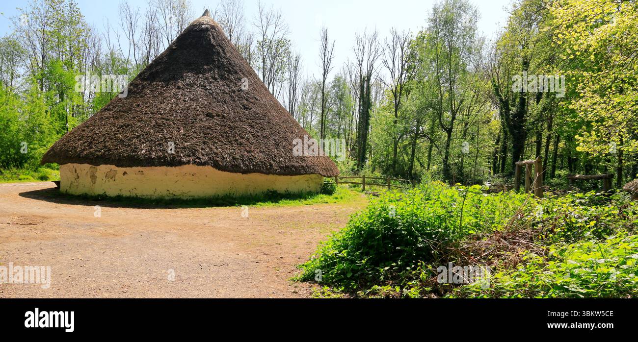 Bryn Eryr iron age Celtic village and roundhouses. St Fagans National ...