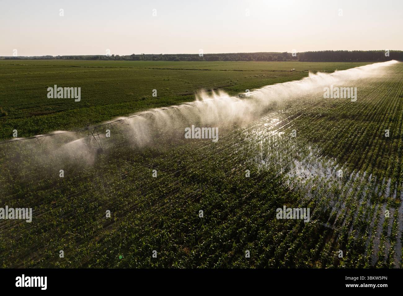 Aerial view of agricultural watering pivot irrigation system on a corn ...