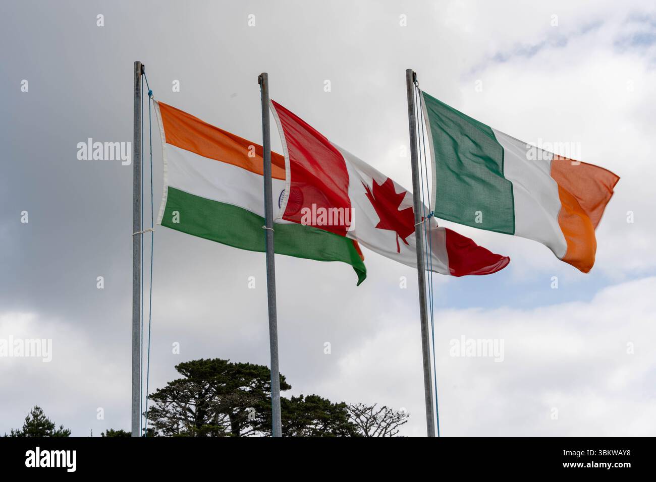 Indian, Canadian and Irish flags flying during a commemoration at the ...