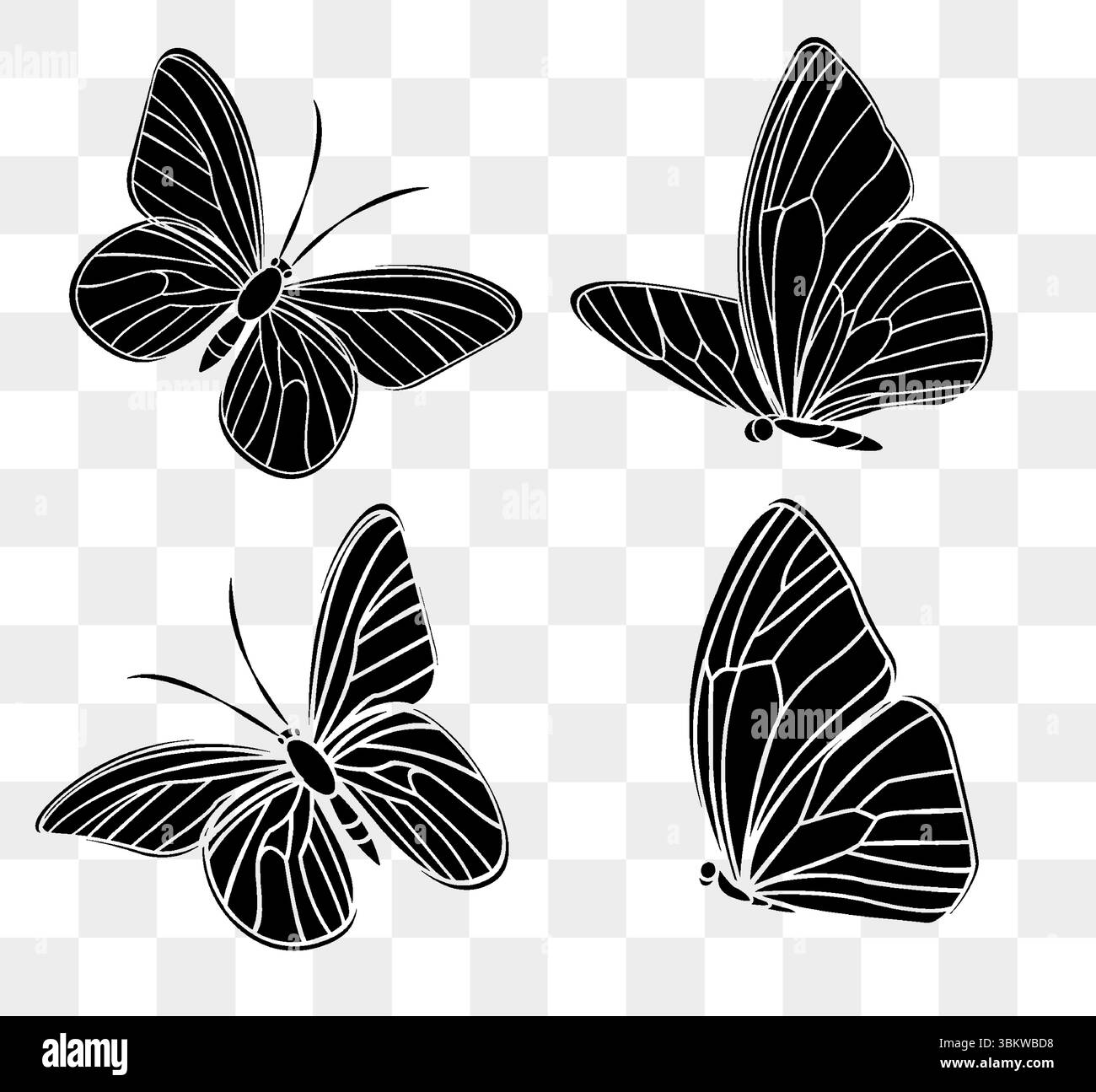 Illustrated patterns Black and White Stock Photos & Images - Alamy