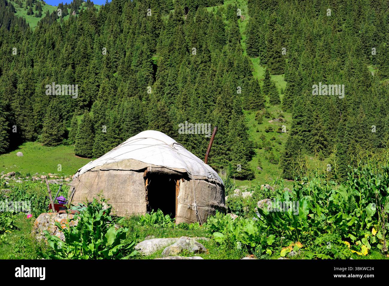 Karakol valley, Karakol, Kyrgyzstan Stock Photo - Alamy