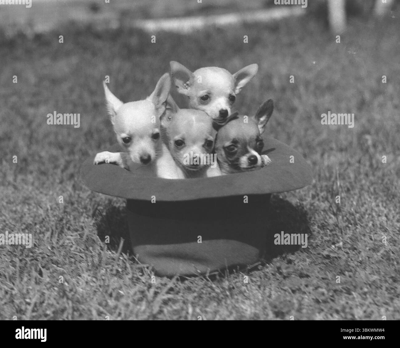 Four sisters Black and White Stock Photos & Images - Alamy