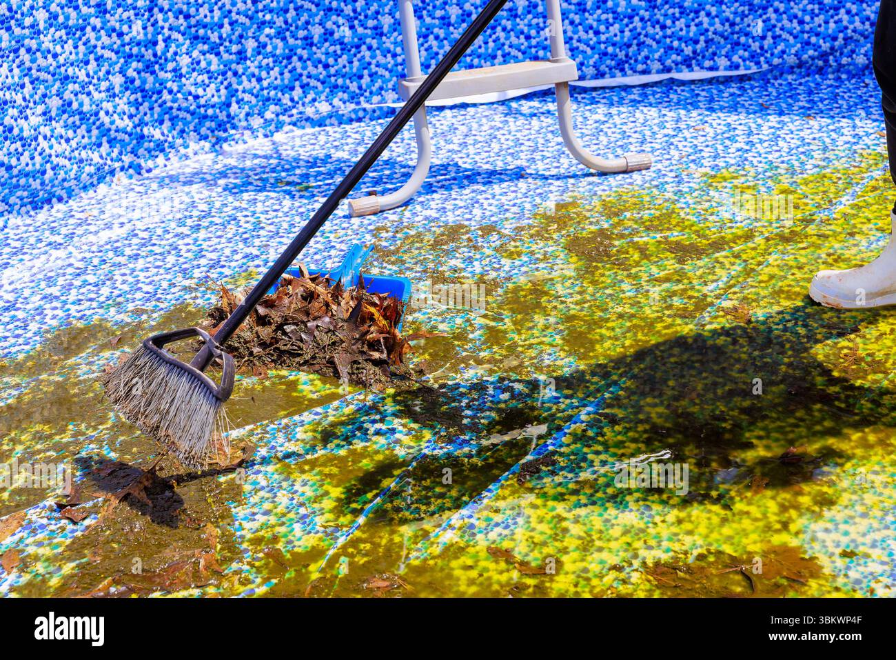 Cleaner worker is clearing leaves debris from backyard swimming pool in ...