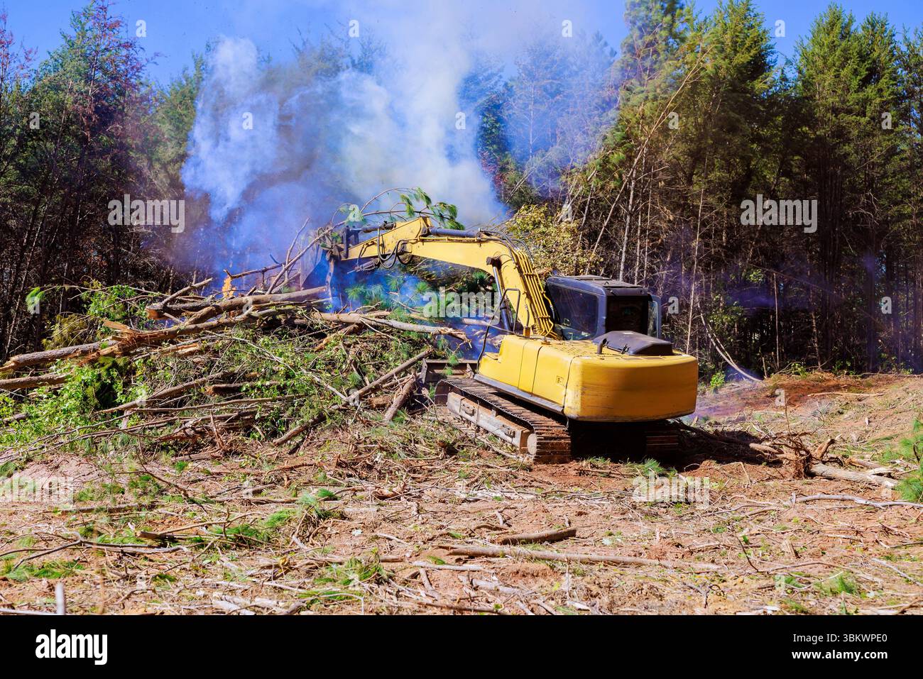 Excavator is removing trees debris from forest as smoke rises in air ...