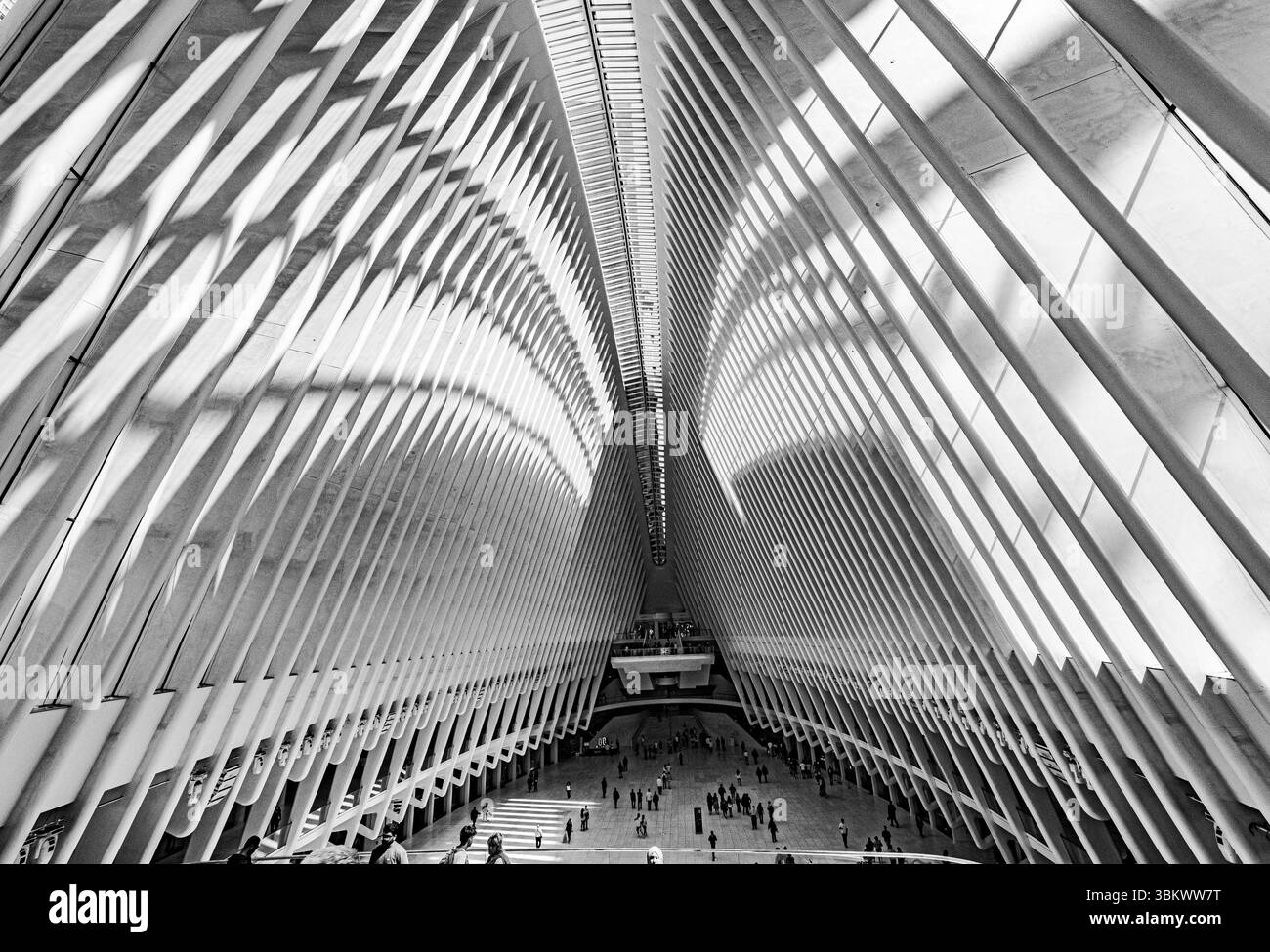 Black and white fisheye lens close-up of an eye reflecting the ...