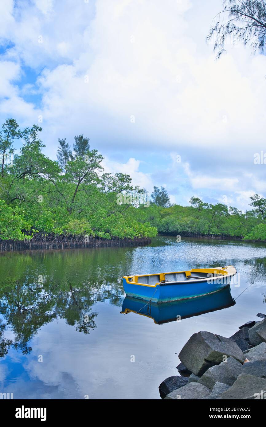 Port launay mangrove, covers 121 hectare of land, Mahe Seychelles Stock ...