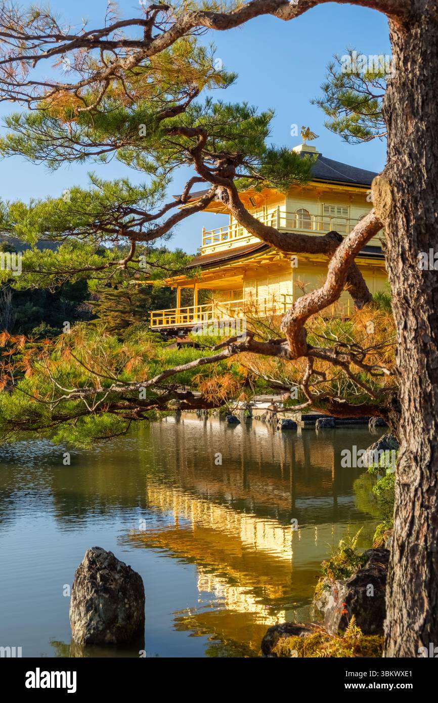 Kinkaku-ji, the Golden Pavilion, shines in Kyoto, Japan, reflected in ...