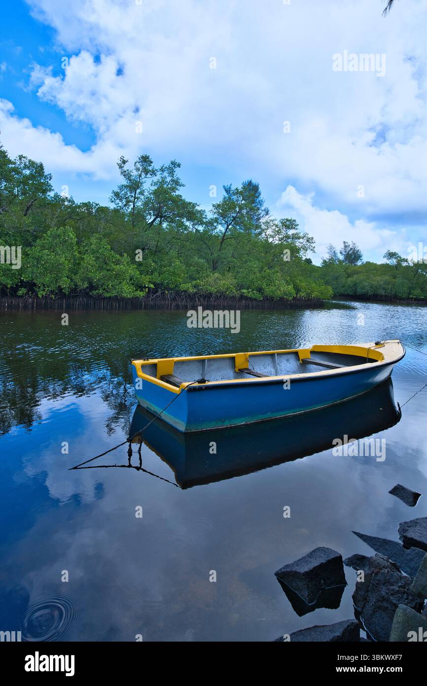 Port launay mangrove, covers 121 hectare of land, Mahe Seychelles Stock ...