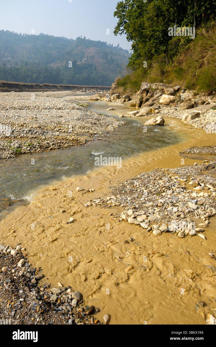 Clear river water meets muddy flow, likely from sediment runoff, in a ...