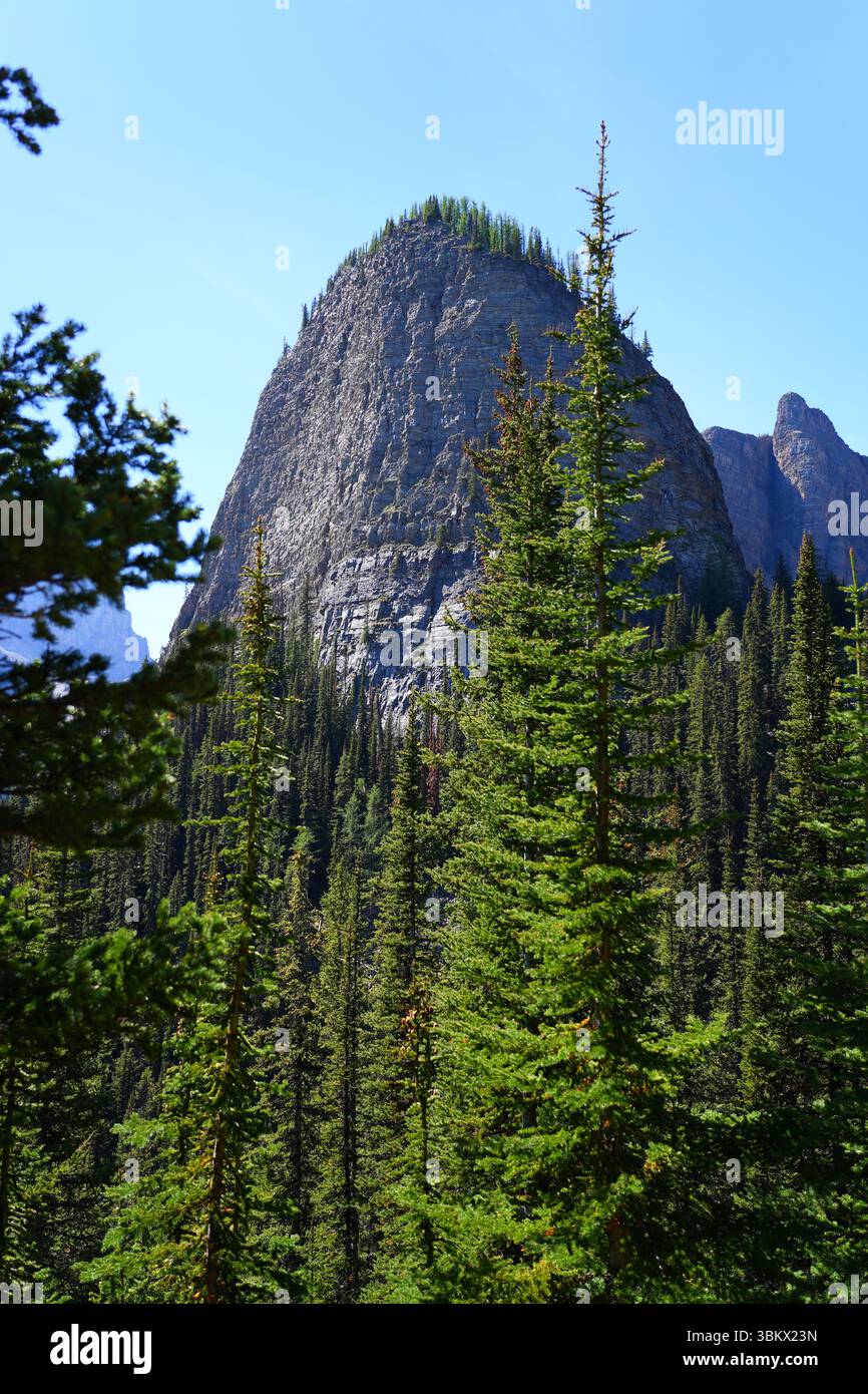The Beehive peak surrounded by woodlands above Lake Louise near Banff ...