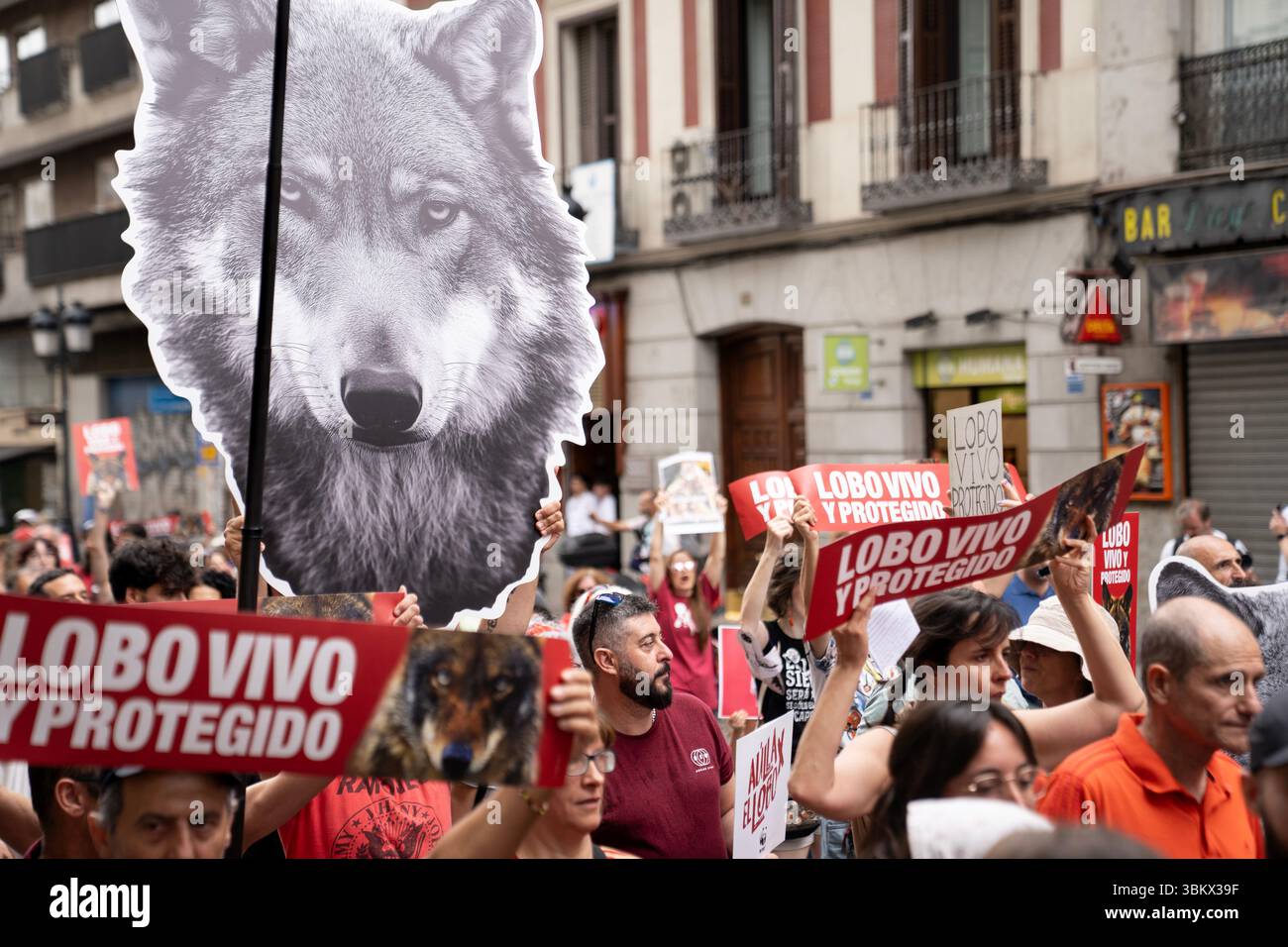 Protestors hold banners with the slogan “Lobo vivo y protegido” (“Wolf ...